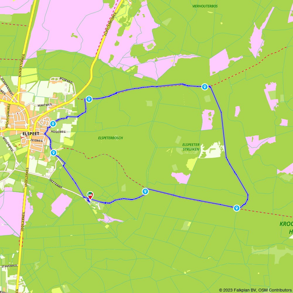 1007771 Forest walk: Elspeet and the Elspeetse Heide