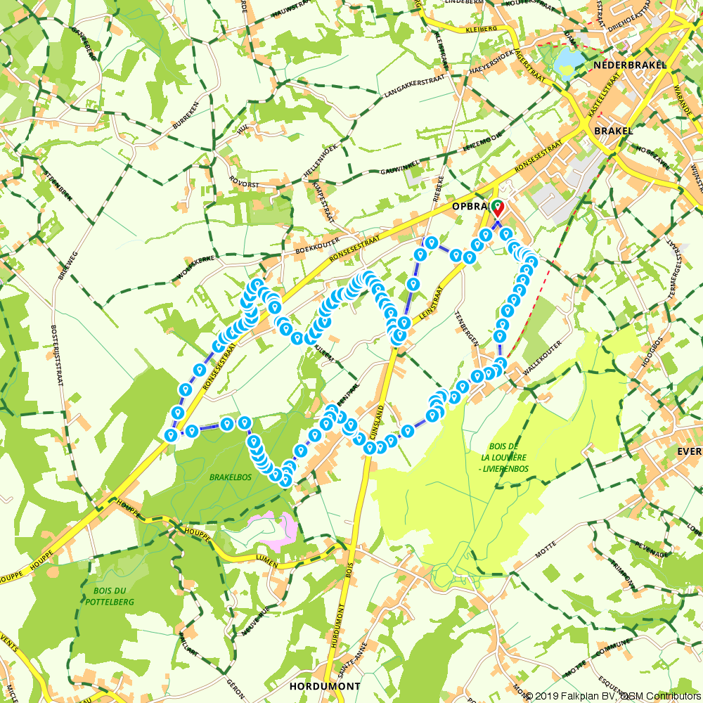 Brakelbos route - Brakel - Hiking route | Route.nl