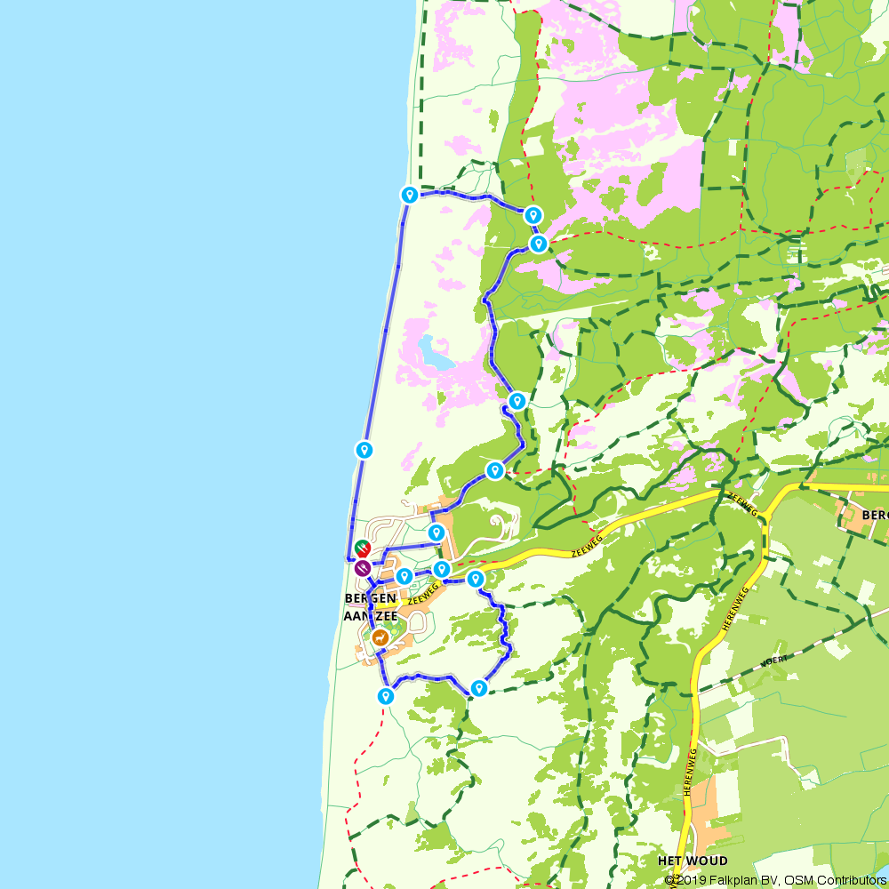 1263701 Walking through the Schoorlse Duinen and Bergen aan Zee