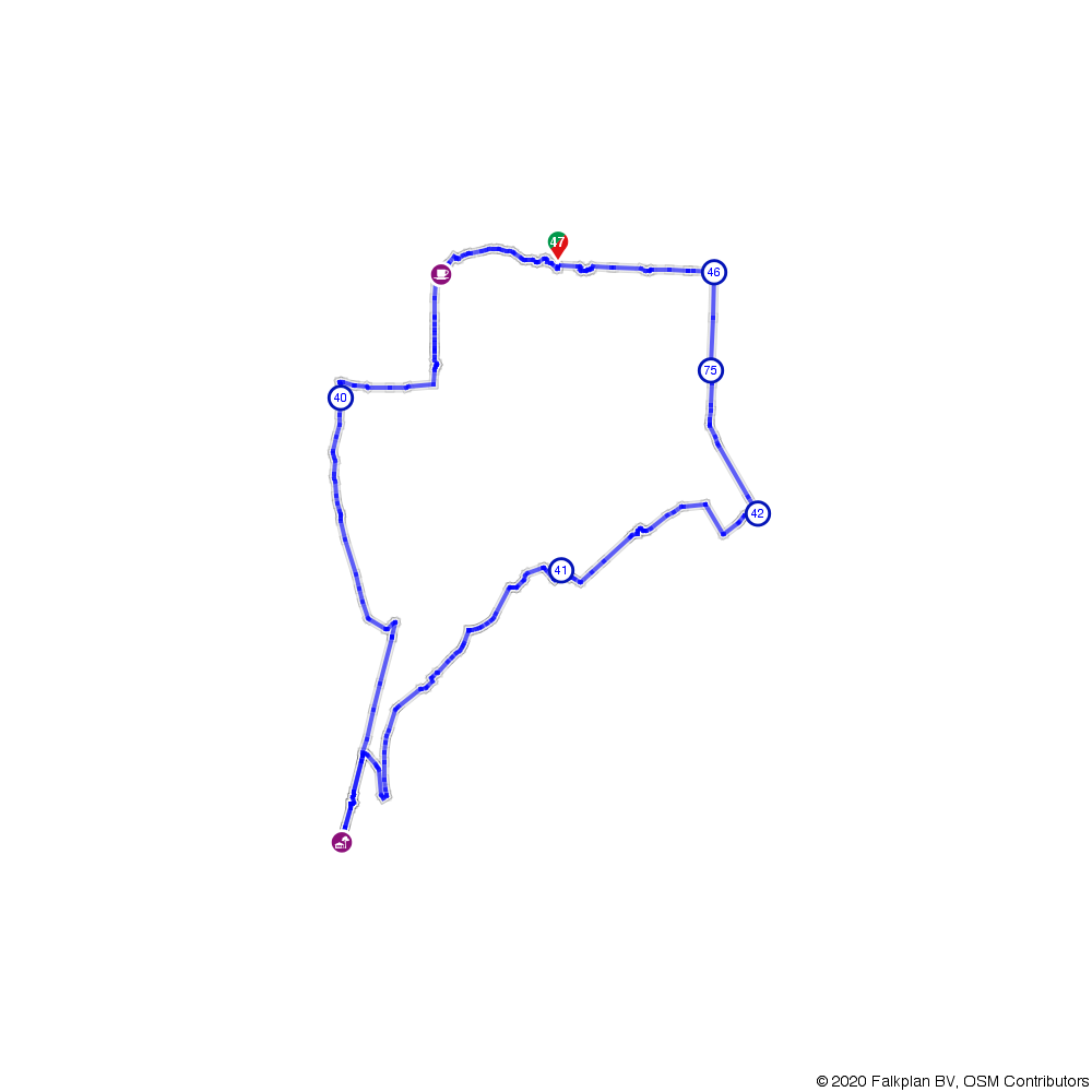 1322807 chilly forest forest