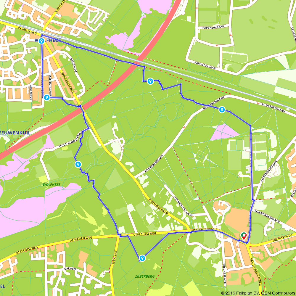 Routiq - 179818 The woods of Wolfheze