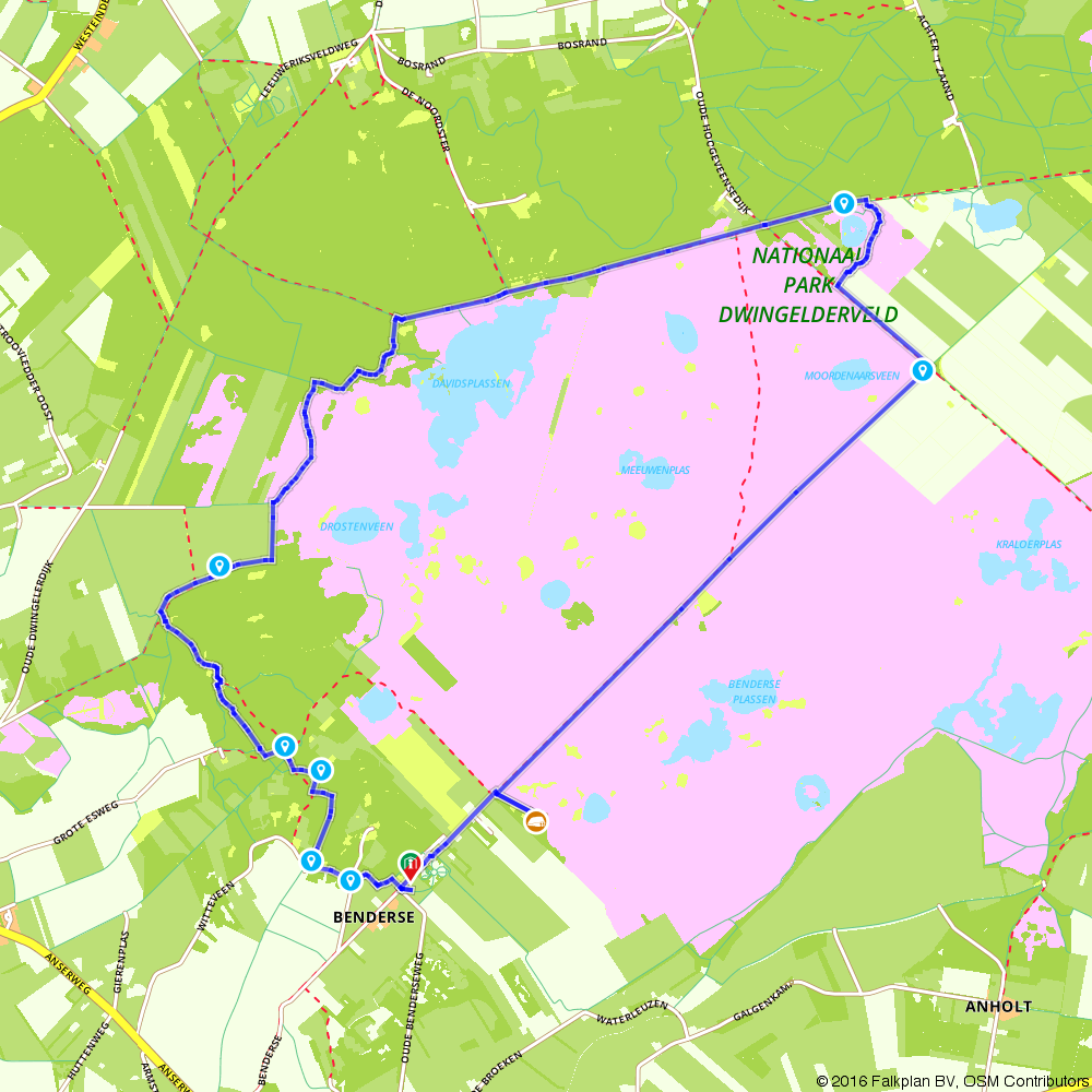 Walking across the heathland of the Dwingelderveld National Park - De ...
