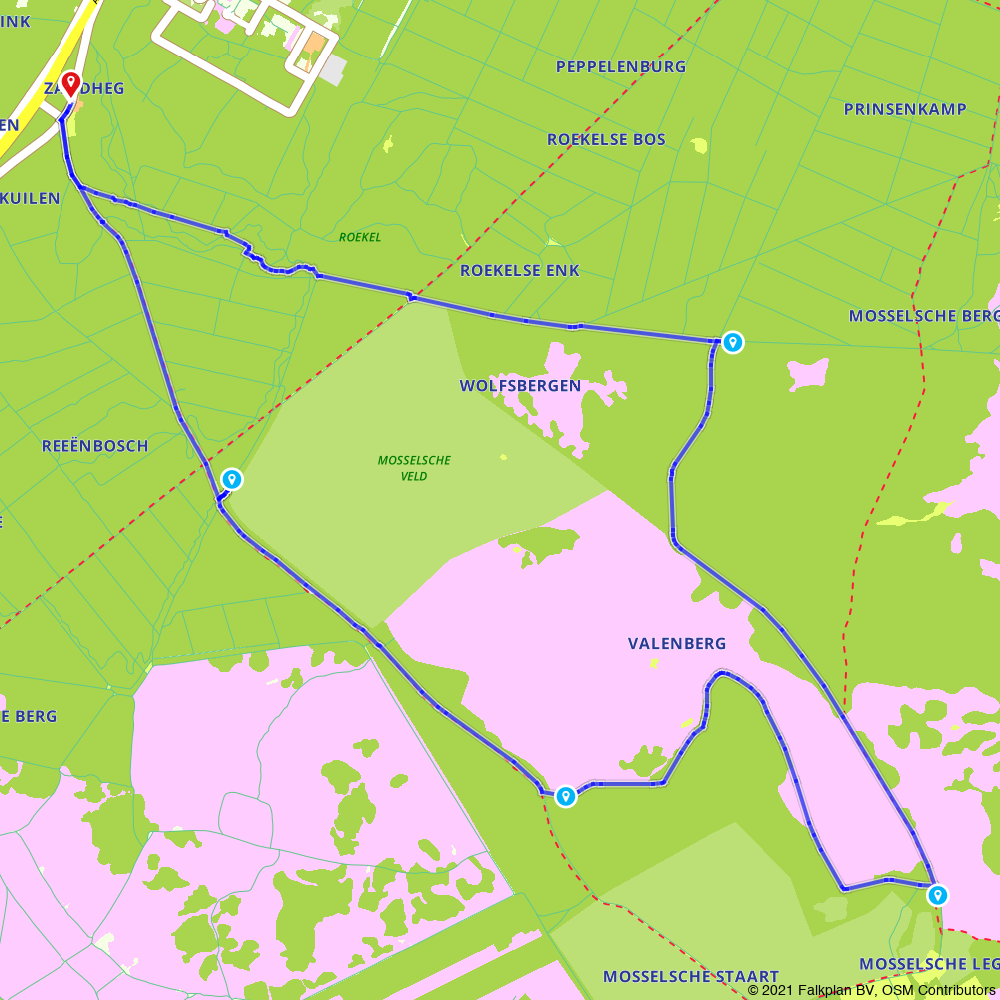 2446633 Mussels field