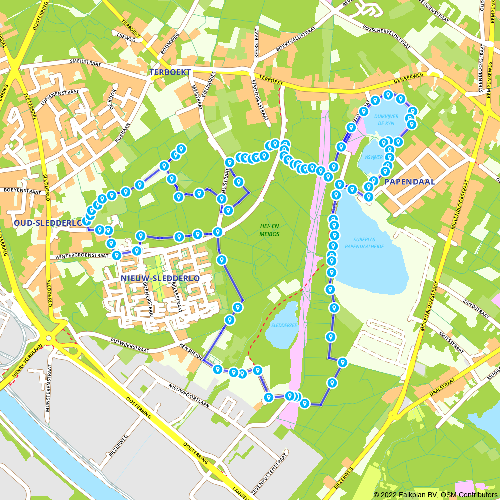 3232378 Hoge Kempen National Park - Kattevennen: Papendaalheide Blue ...