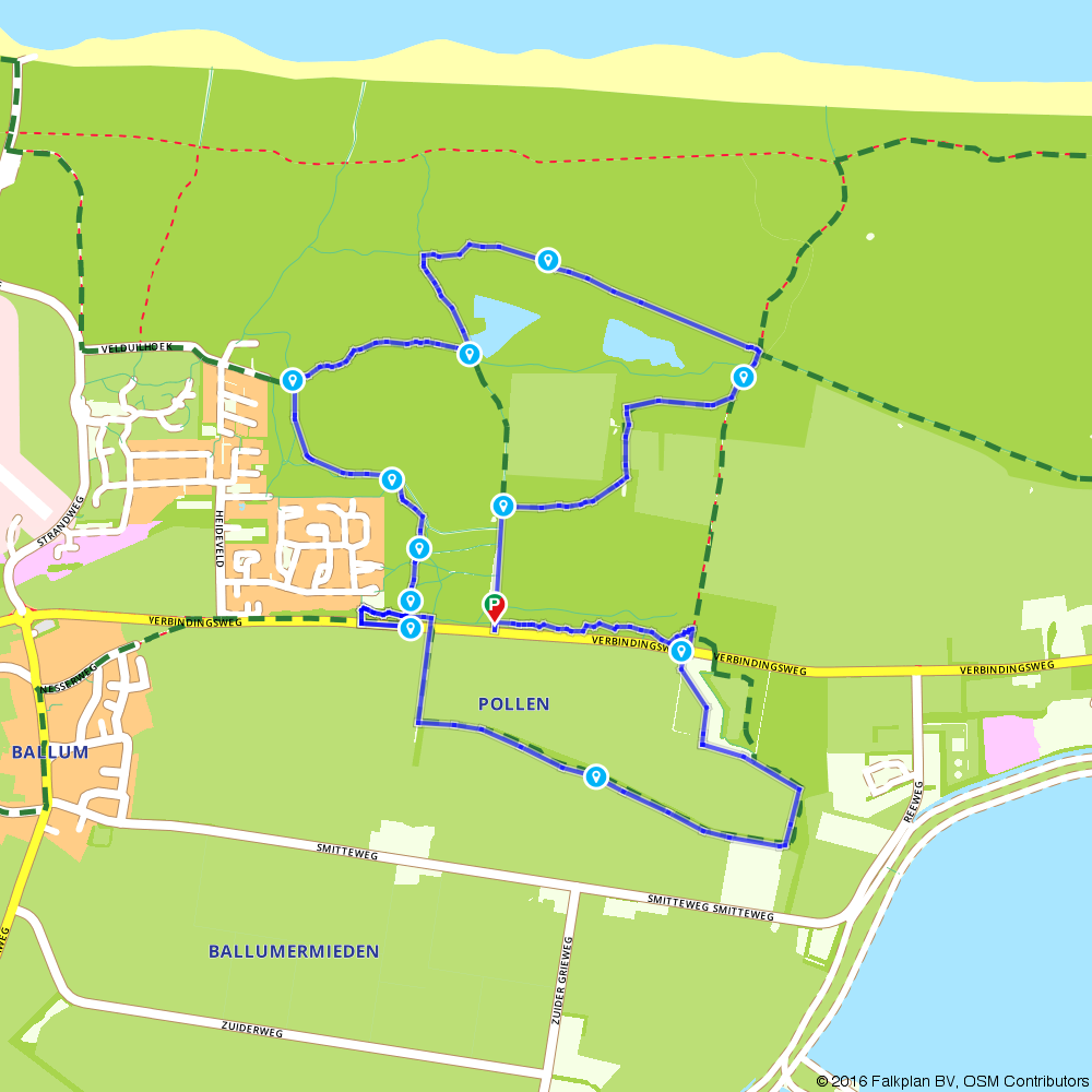 Pure nature on Ameland - Ameland - Hiking route | Route.nl