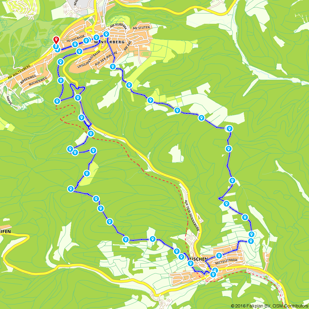 Winterberg - Zuschen - Winterberg - Winterberg - Wandelroute | Route.nl