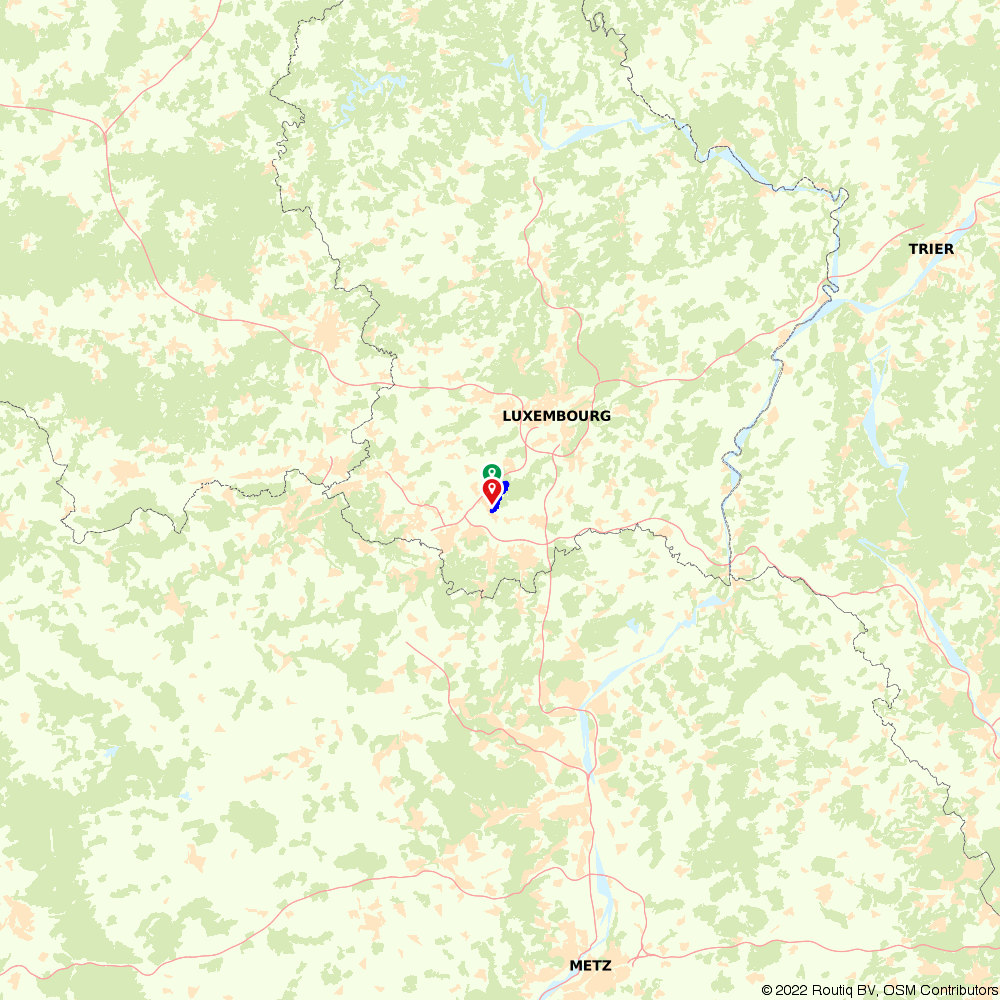 3750407 Auto-Pedestre Bergem