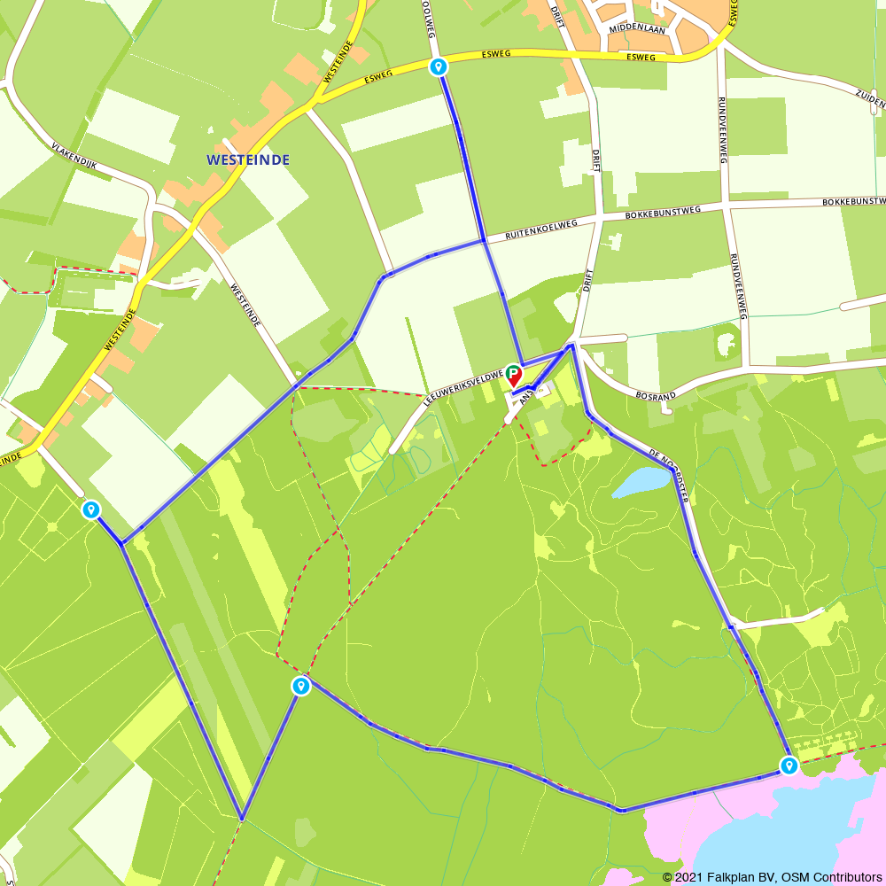 Walking route Dwingelderveld and the Davidsplassen - Westerveld ...