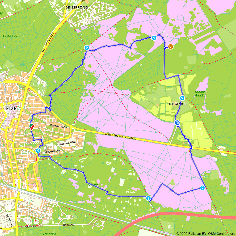 Walking on the Ginkelse Heide - Ede - Hiking route | Route.nl